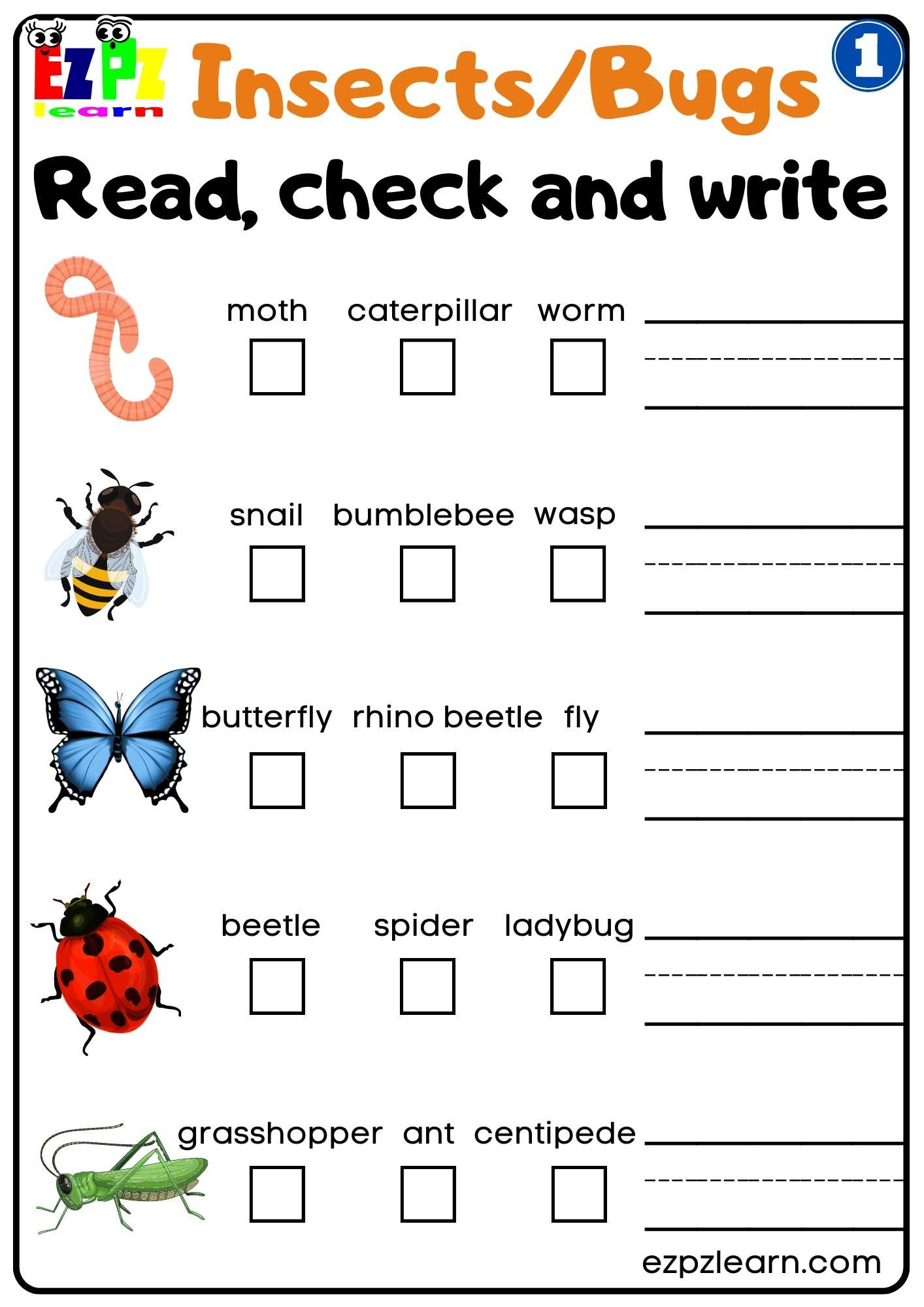 Free Printable Insect Worksheets | Printable Worksheets